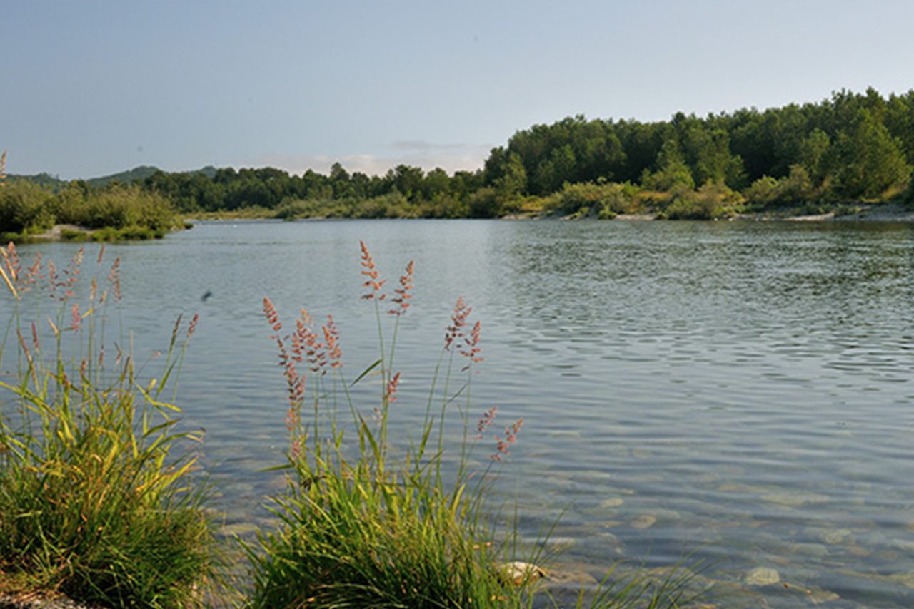 California Coastal Commission